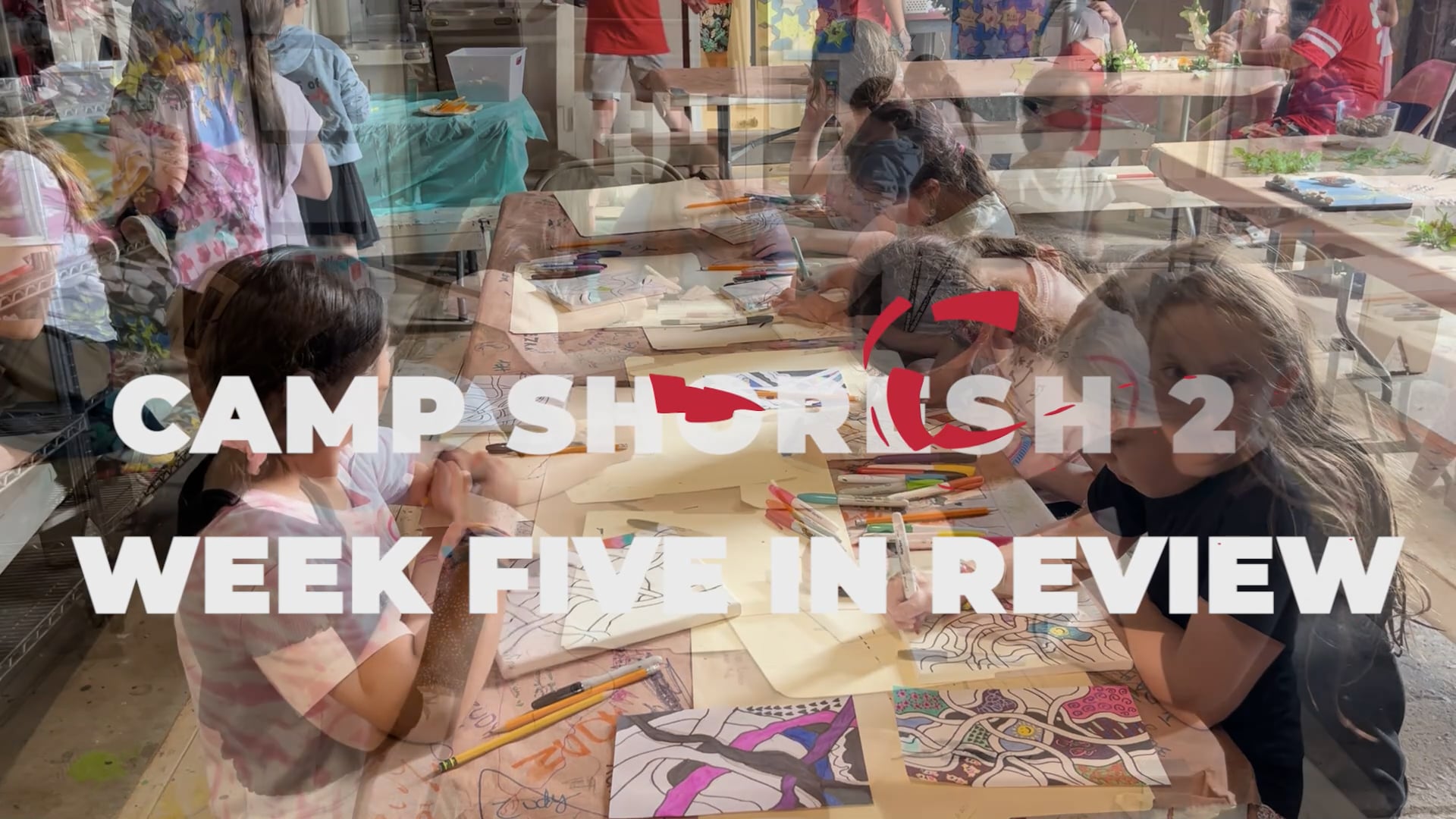 Camp Shoresh Week Five 2025