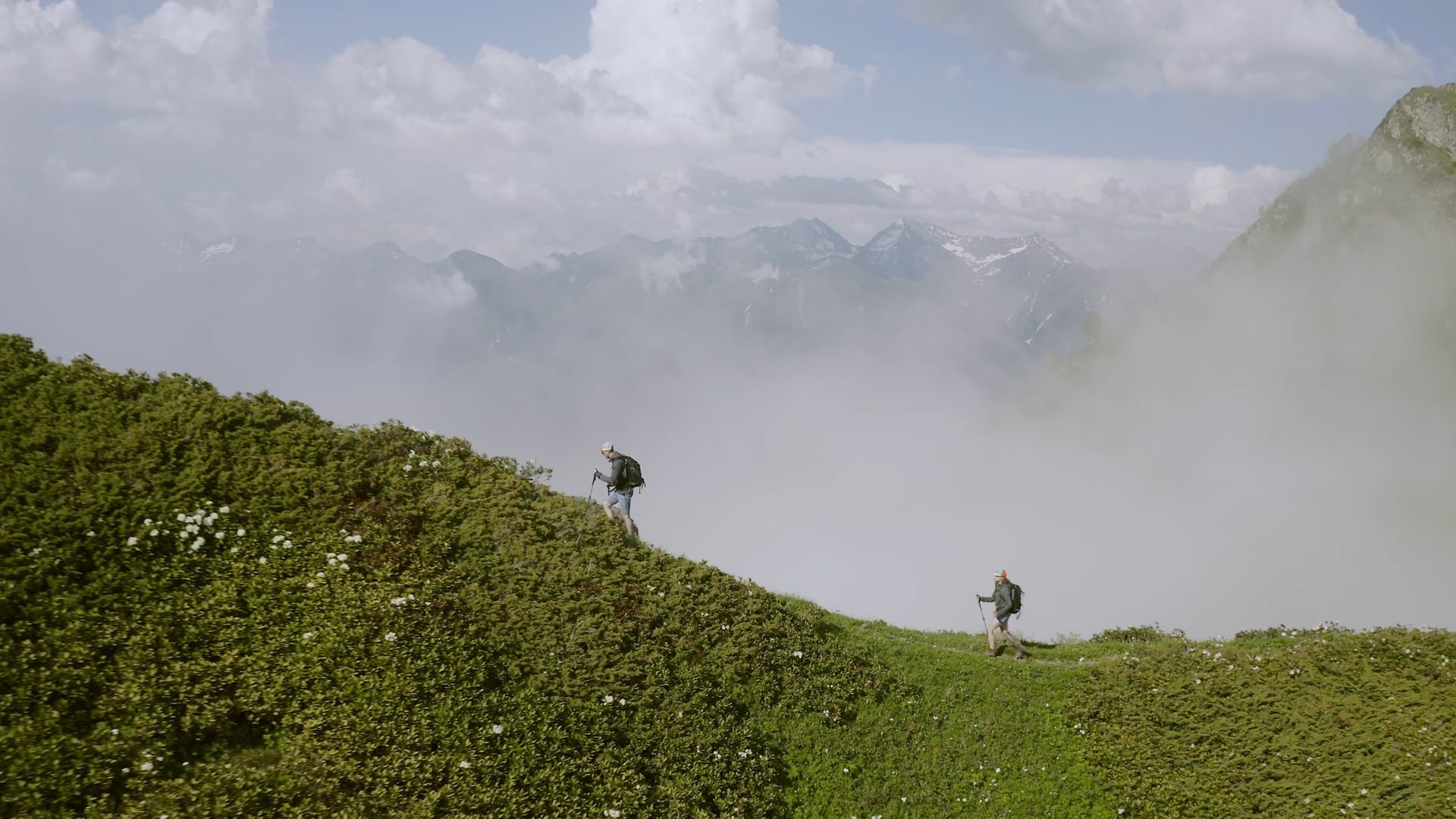 Platinum Point Financial - The Standard For Financial Planning