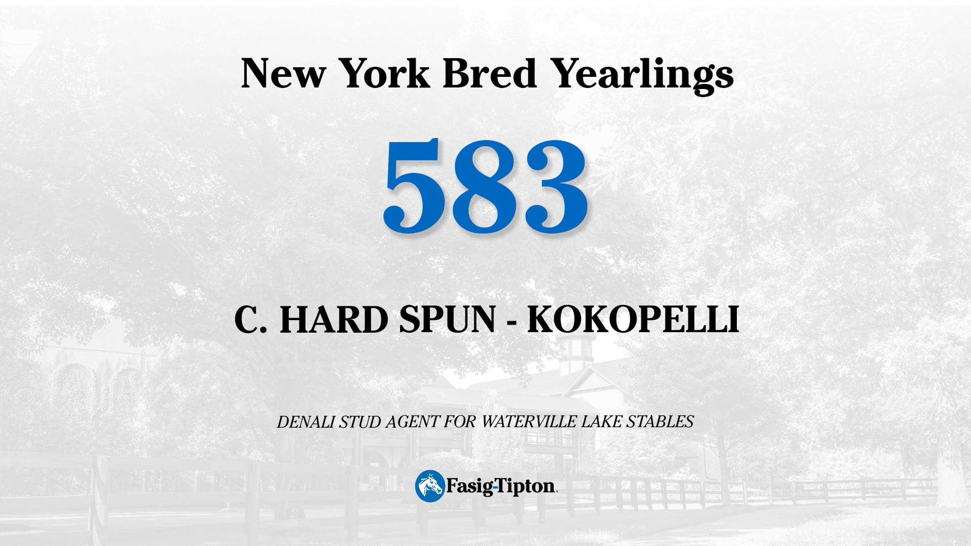 FTNAUG25, Hip 583, c. HARD SPUN - KOKOPELLI 24