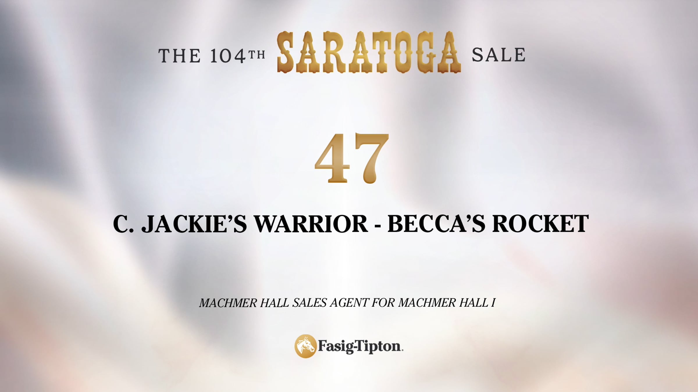 Hip 47 - FT Saratoga Sale - colt by Jackie's Warrior - Becca's Rocket
