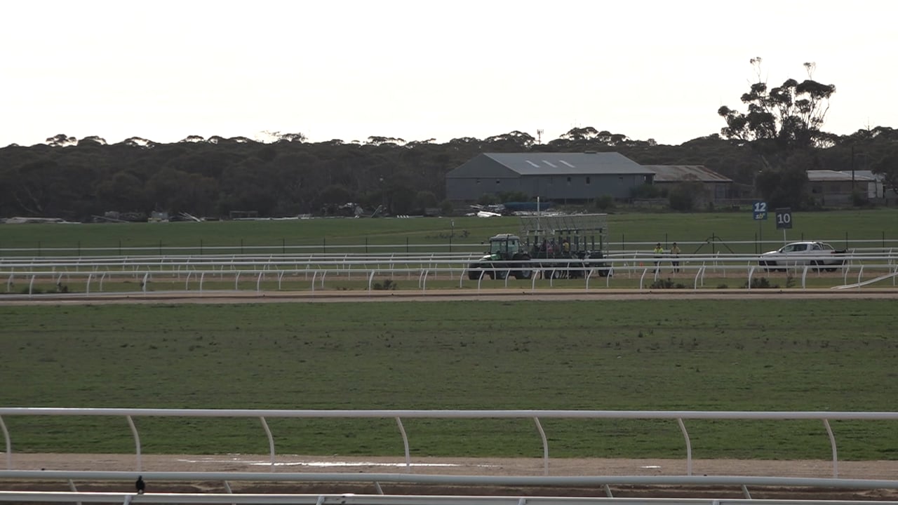 28/08/2025 Murray Bridge • Racing SA
