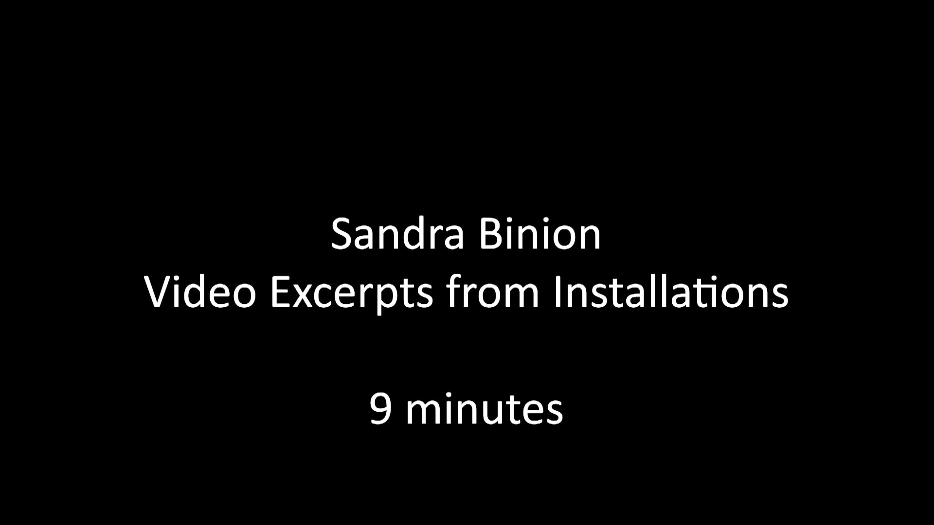 Video Excerpts from Installations - Sandra Binion