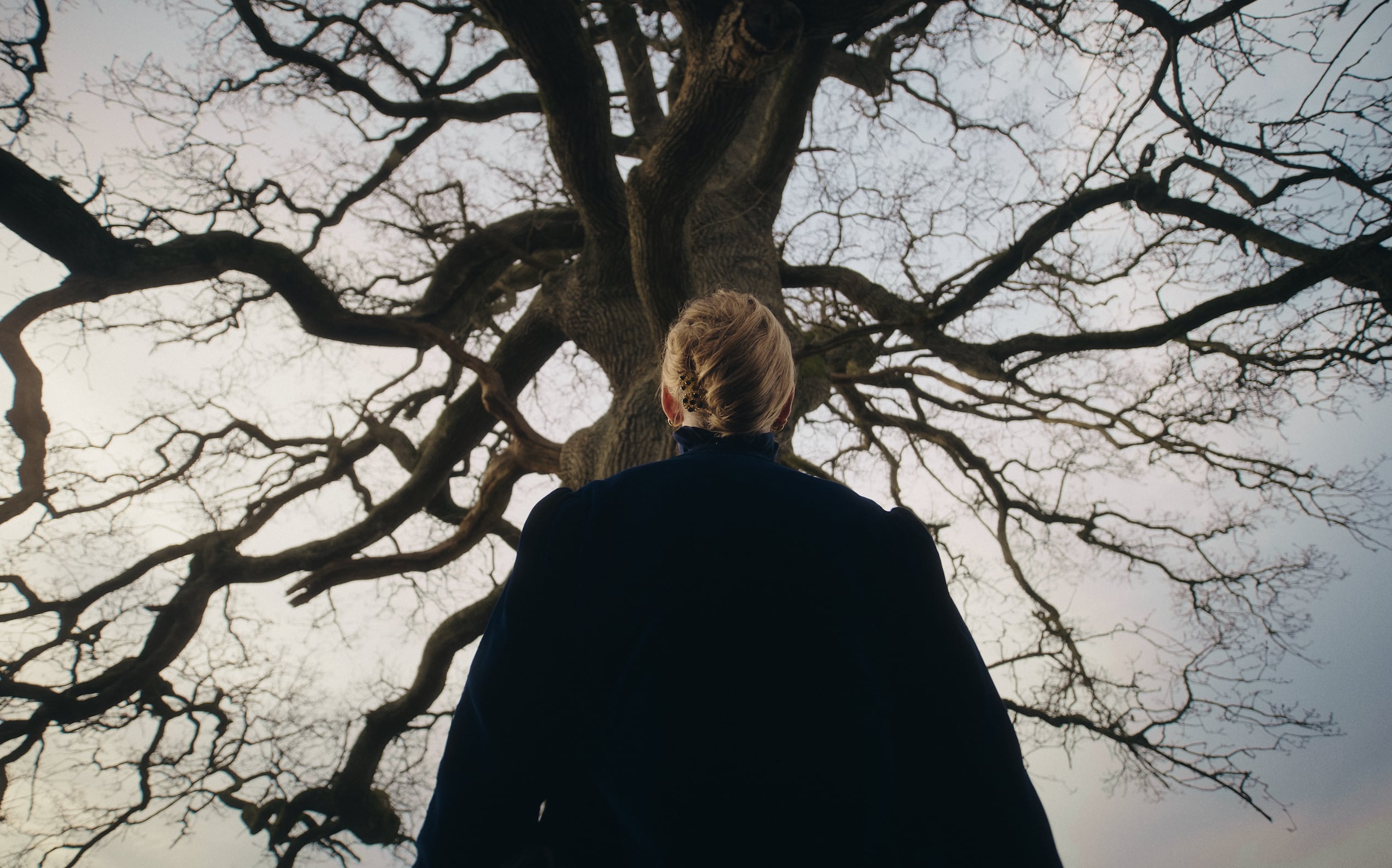 The Ambrose Finch | 2025 | DOP & Colourist