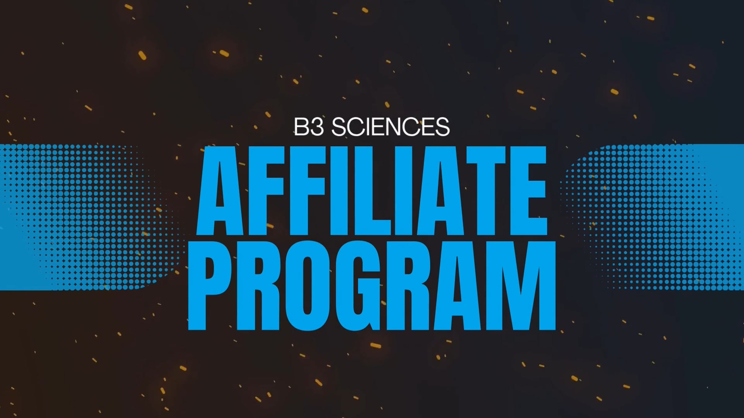 B3 Affiliate Program