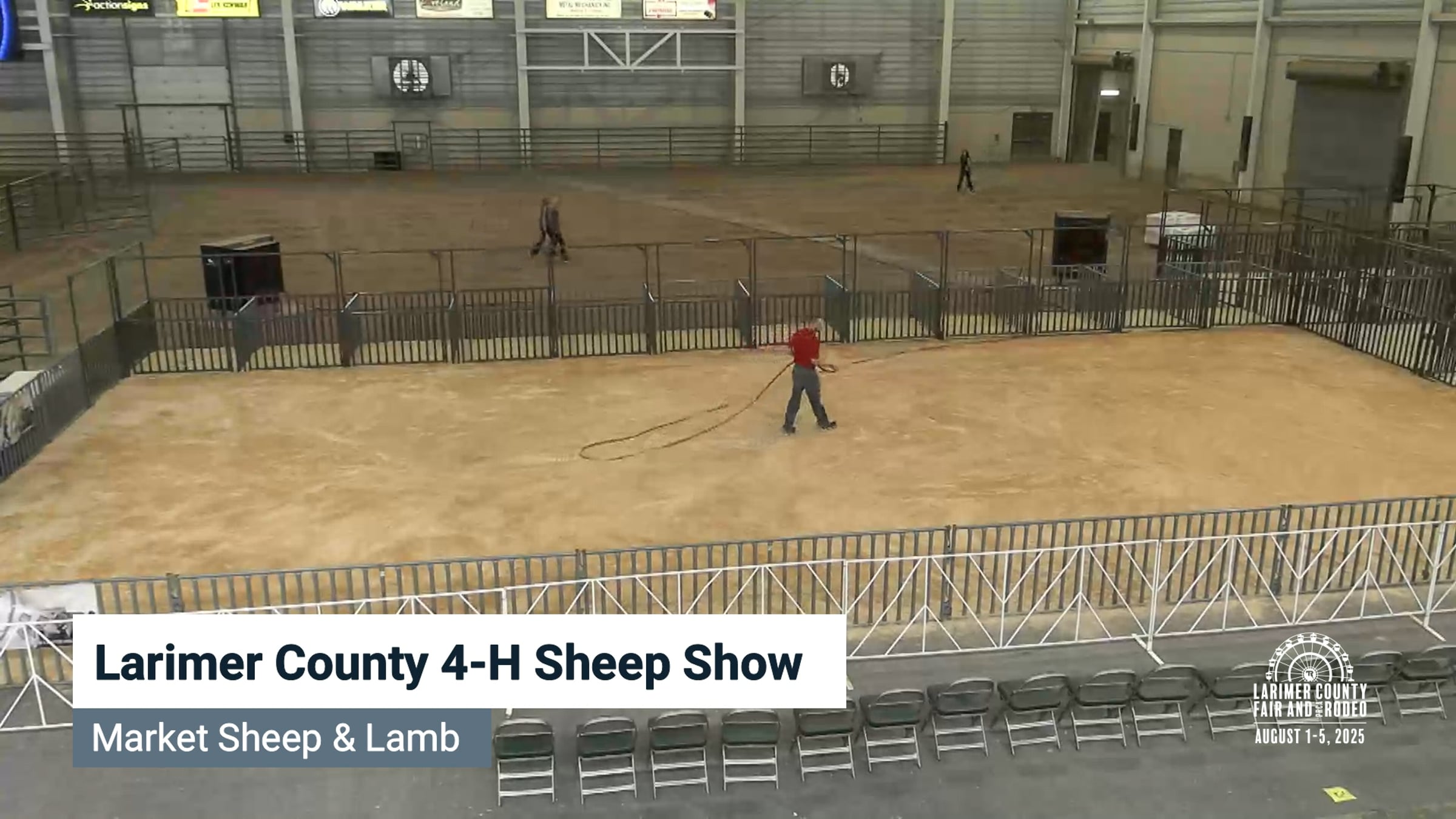 2025 Larimer County Fair & Rodeo 4H Sheep and Lamb Show