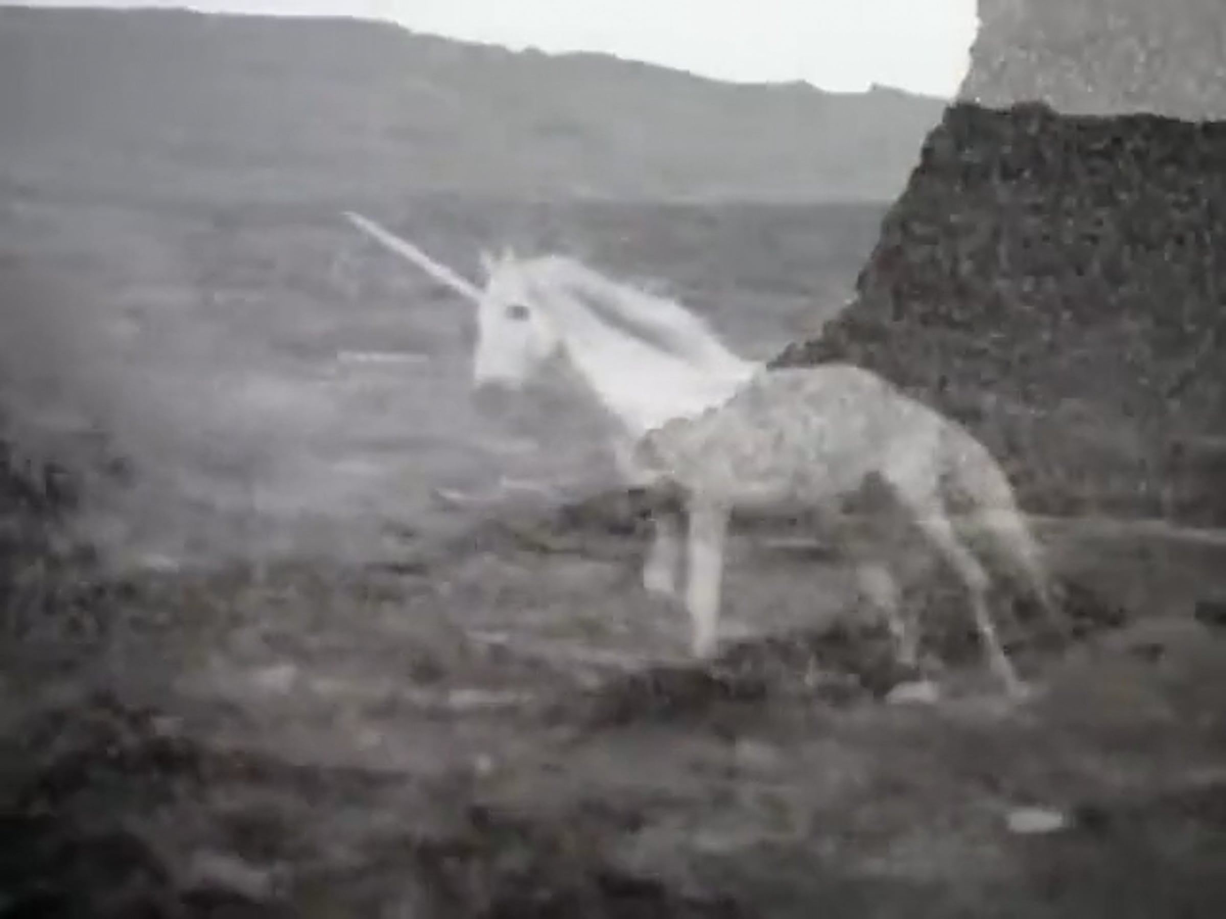 Enigma - Return To Innocence (Official Video) | Videos & Movies on Vimeo