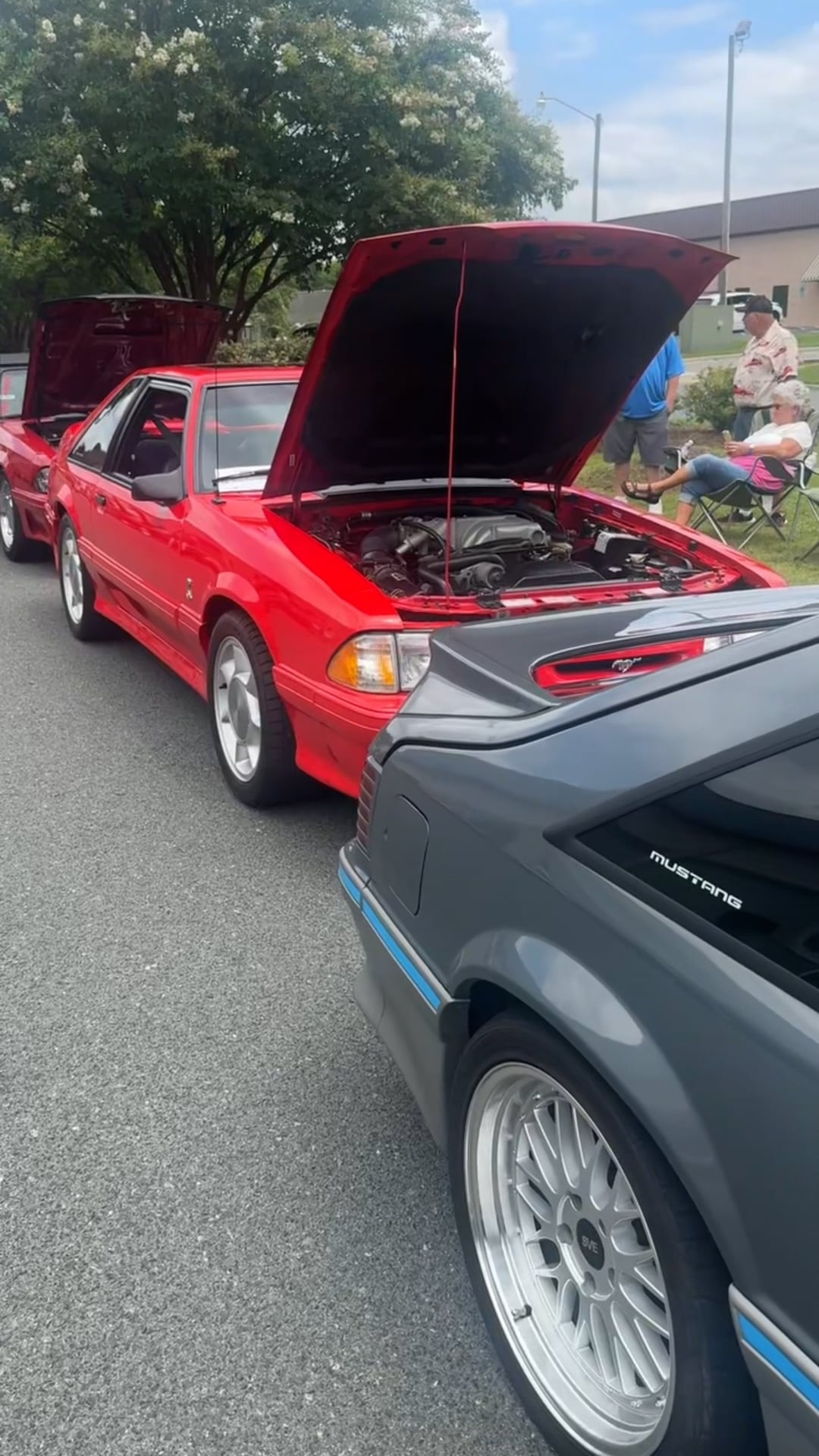 2025 NFD Winner Donna Arnal 1993 Cobra Original Owner