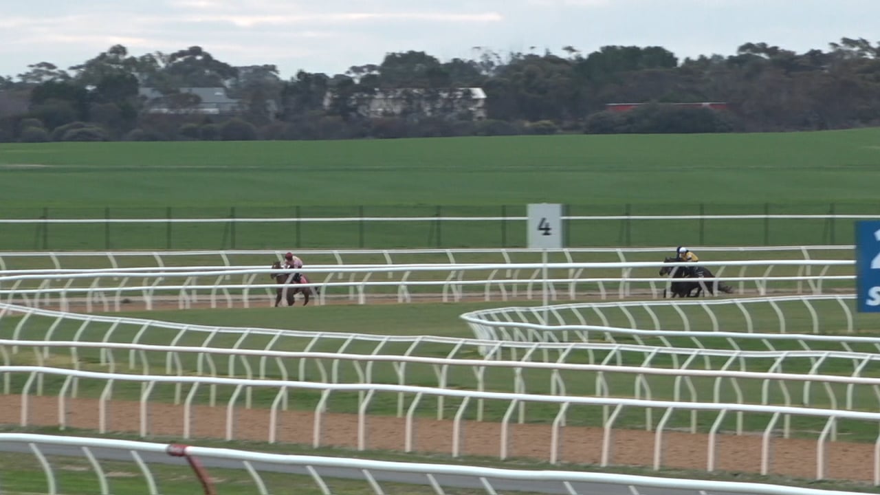 11/08/2025 Murray Bridge • Racing SA