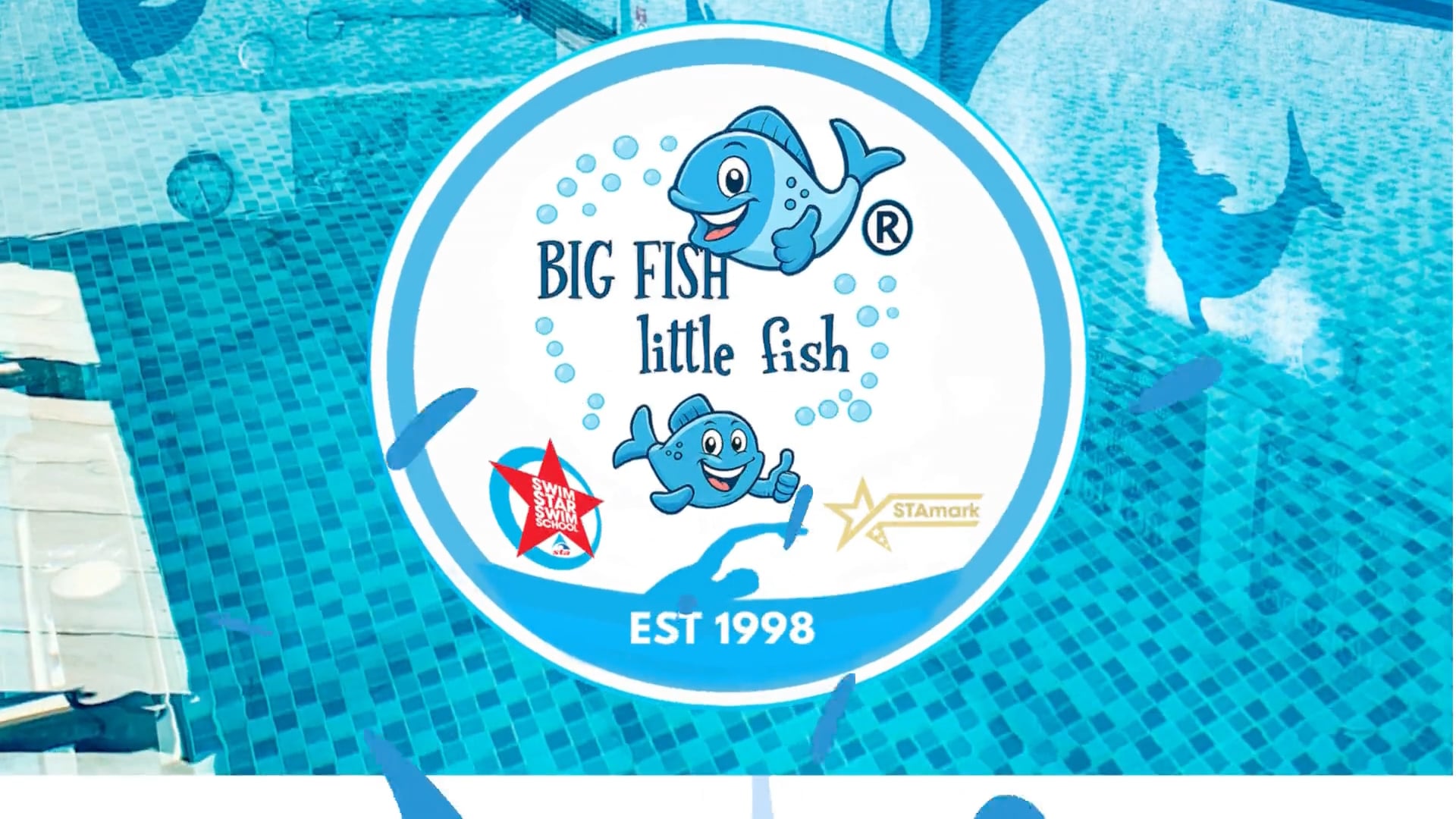 Big Fish Little Fish Swim School - Swimming Lessons, Swimming Pool