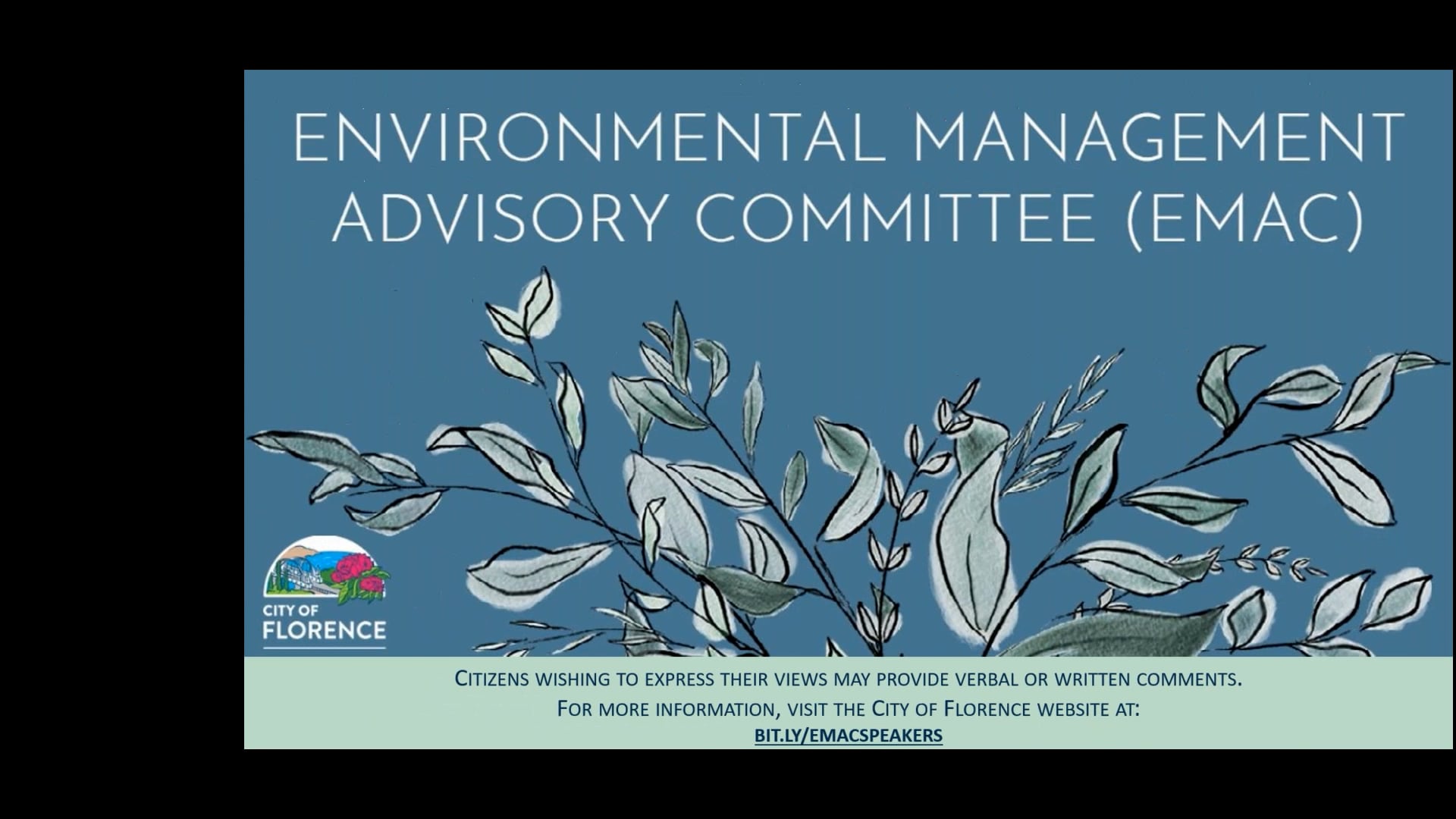 8.13.25 Environmental Management Advisory Committee (EMAC)