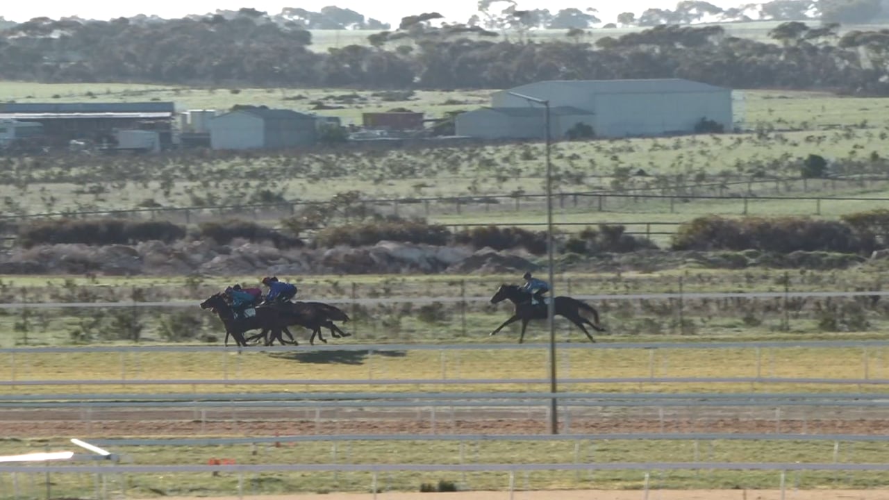 18/08/2025 Murray Bridge • Racing SA