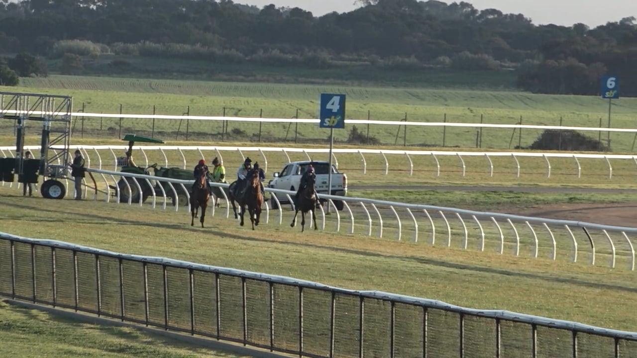 18/08/2025 Murray Bridge • Racing SA