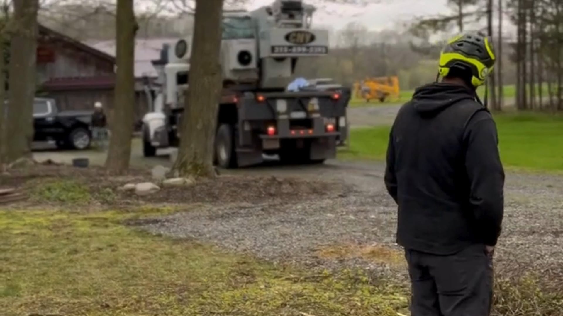 L. Moore Tree Service - Tree Removal, Tree Trimming