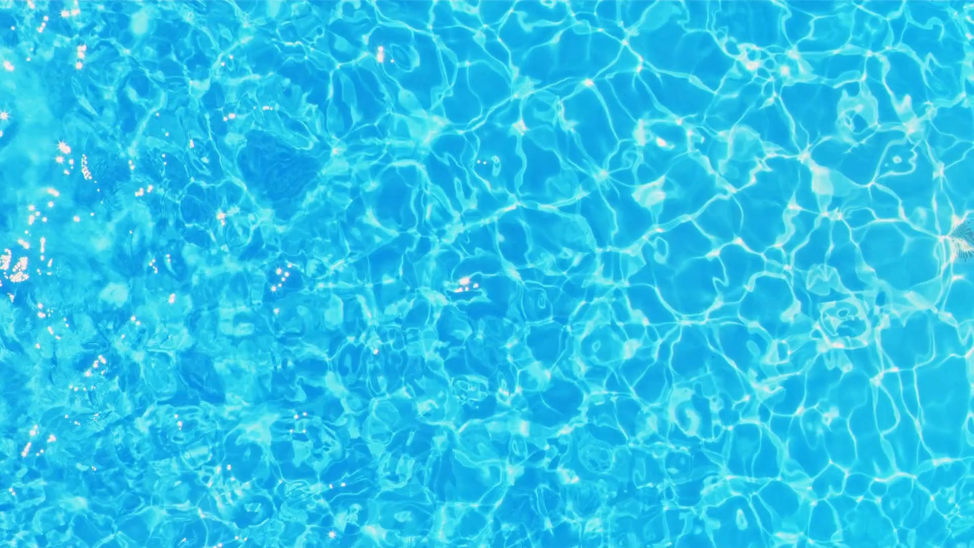 Top-Quality Pool Service by Nessie's Pool Service