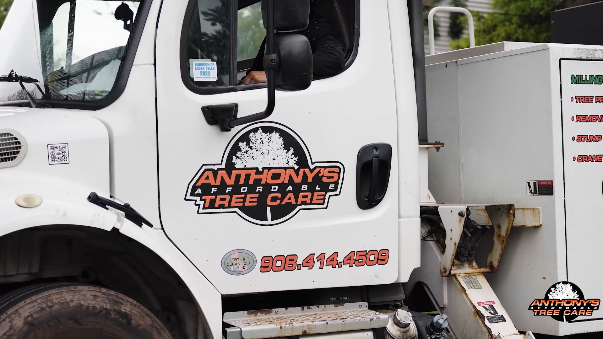 Tree Removal and Trimming | Anthony's Affordable Tree Care