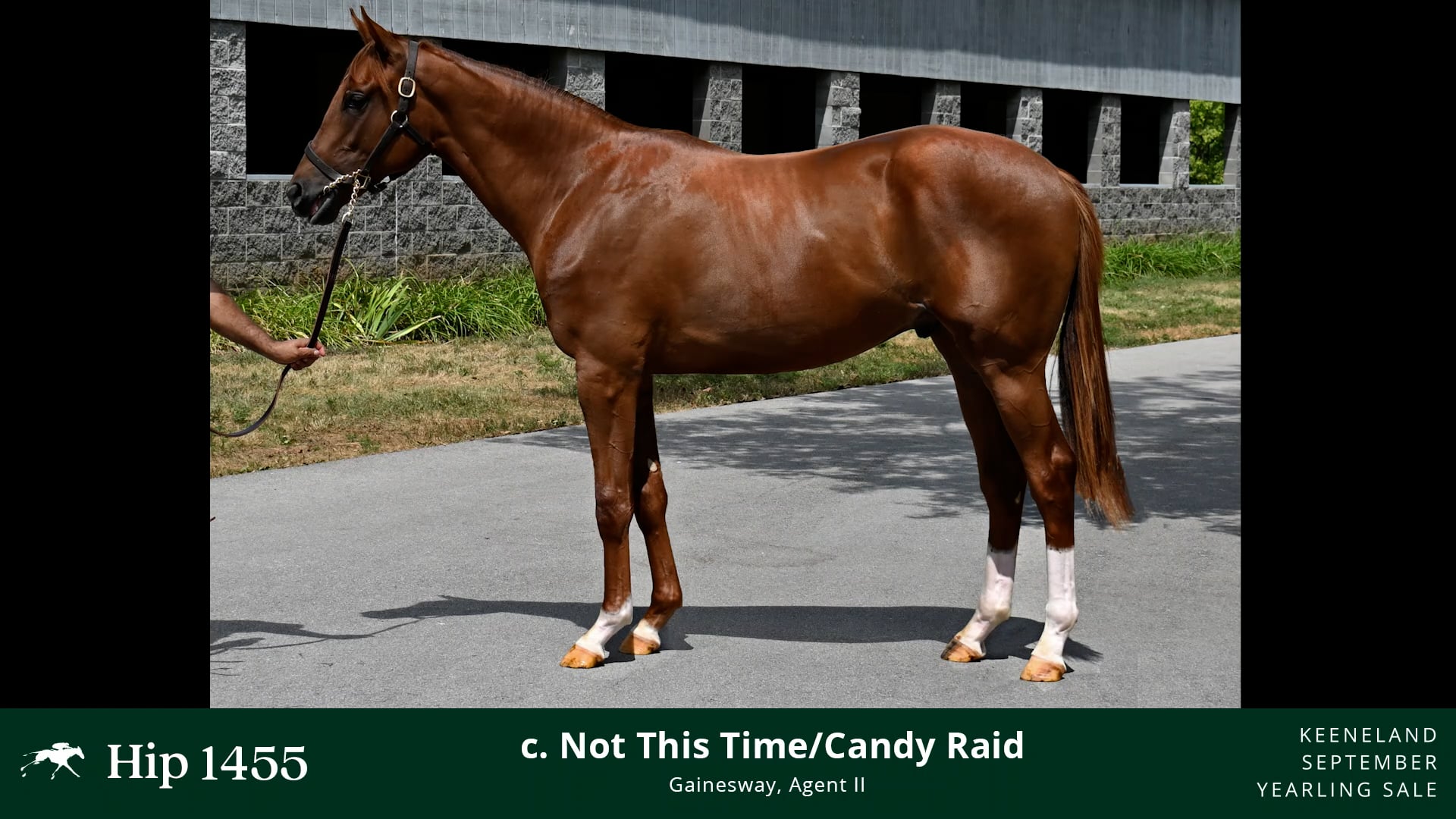 Candy Raid 24 KEESEP25 Hip_1455