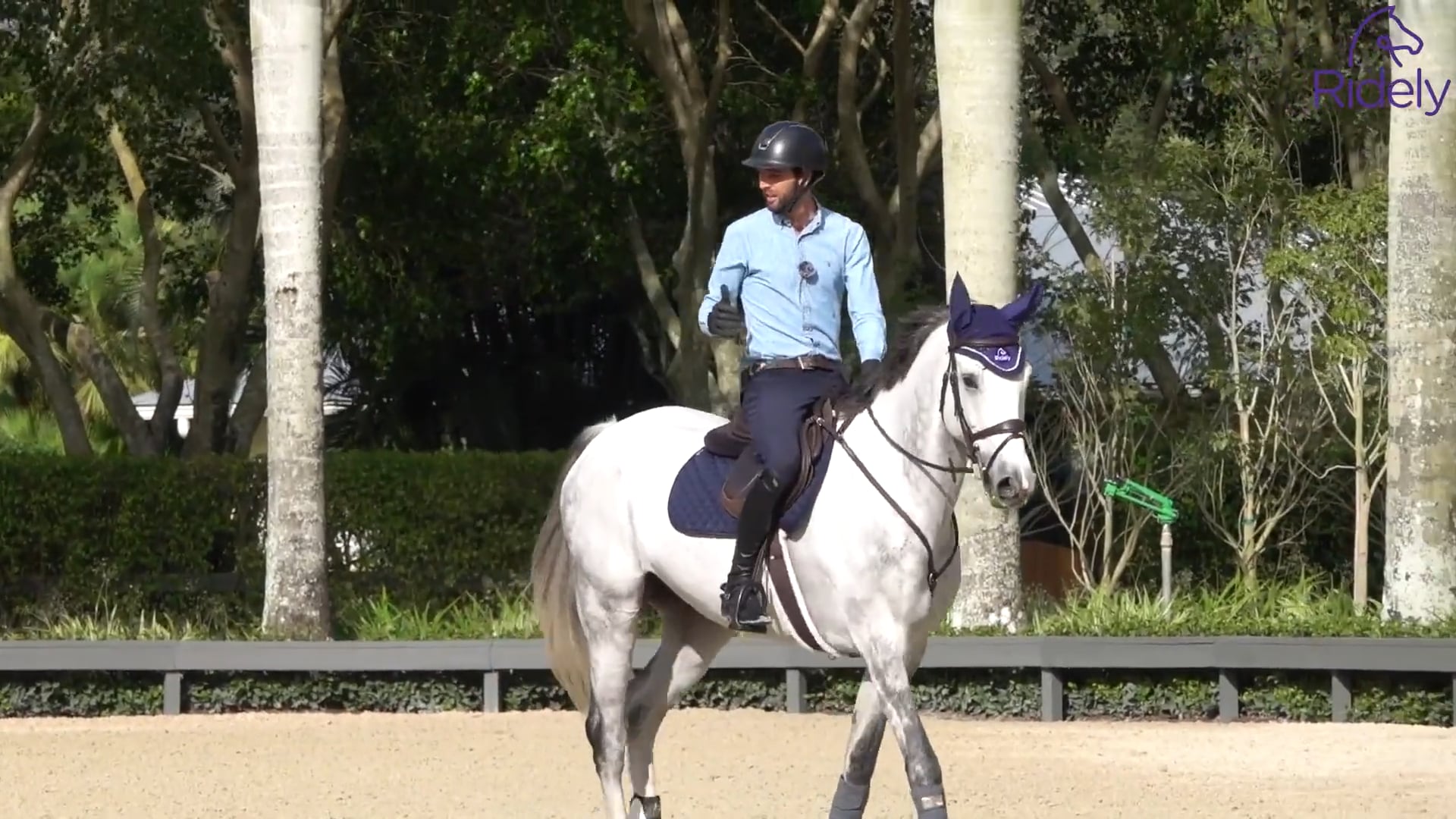 Lateral Work in Walk & Trot: The Slalom (Part 4) | Ridely