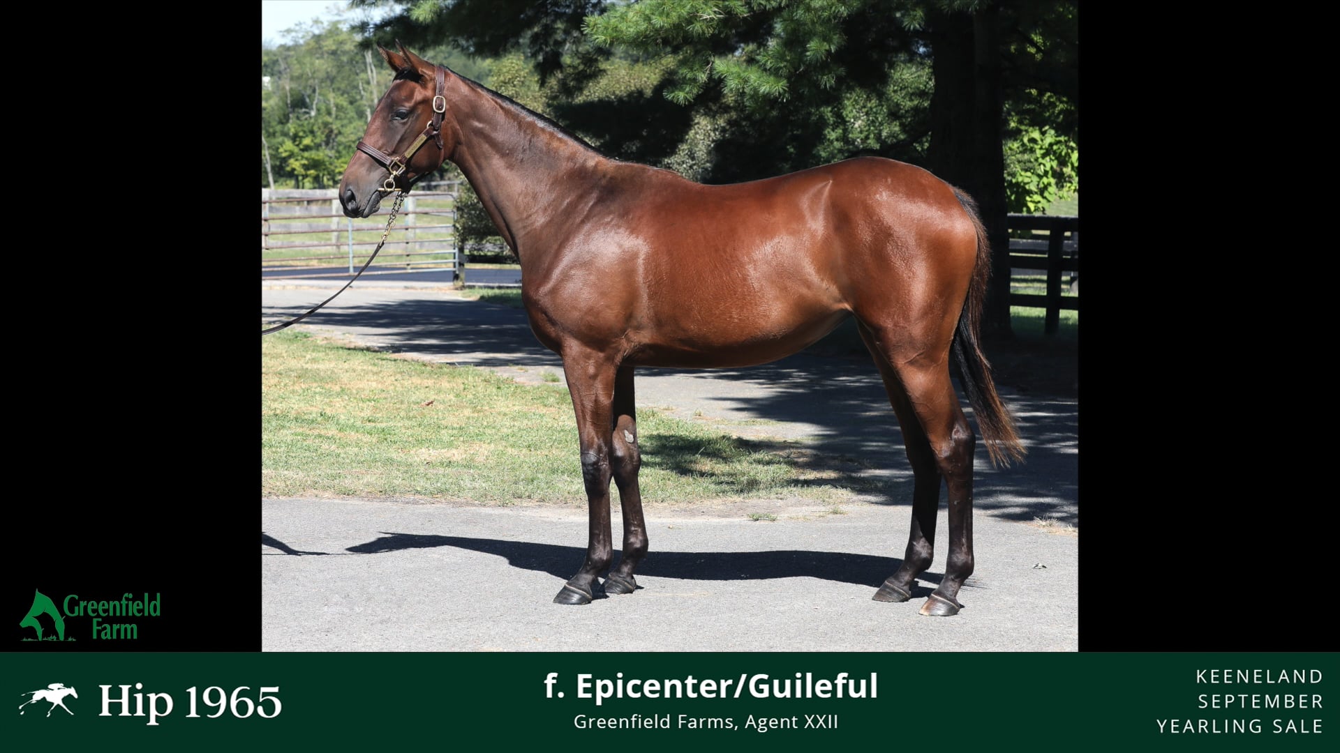 KEESEPT25_1965_Guileful 24 | Videos & Movies on Vimeo