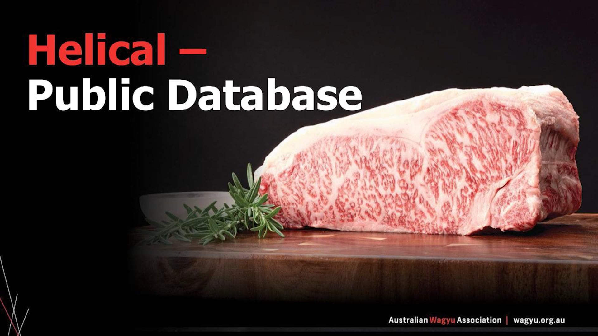 Using Helical - The Public Database