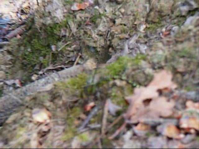 Brockham Trails Summer 2011 on Vimeo