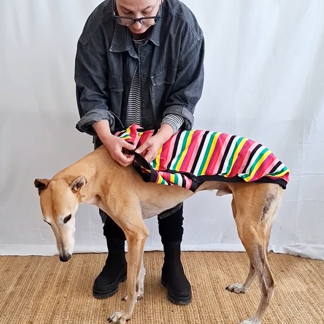 Hound-Tees | Sleeveless snap alteration