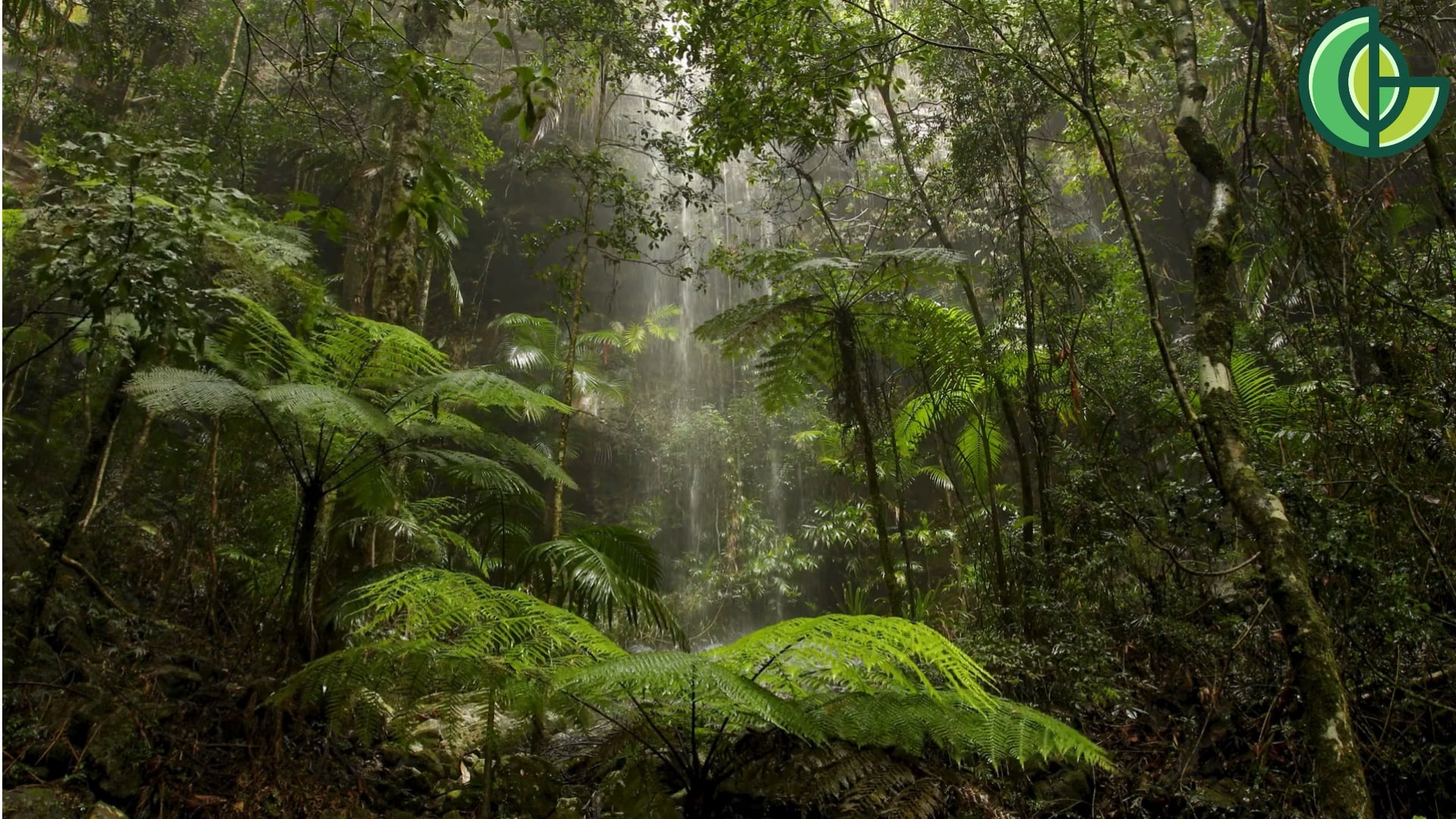 Meet the team | Future Forests LLC