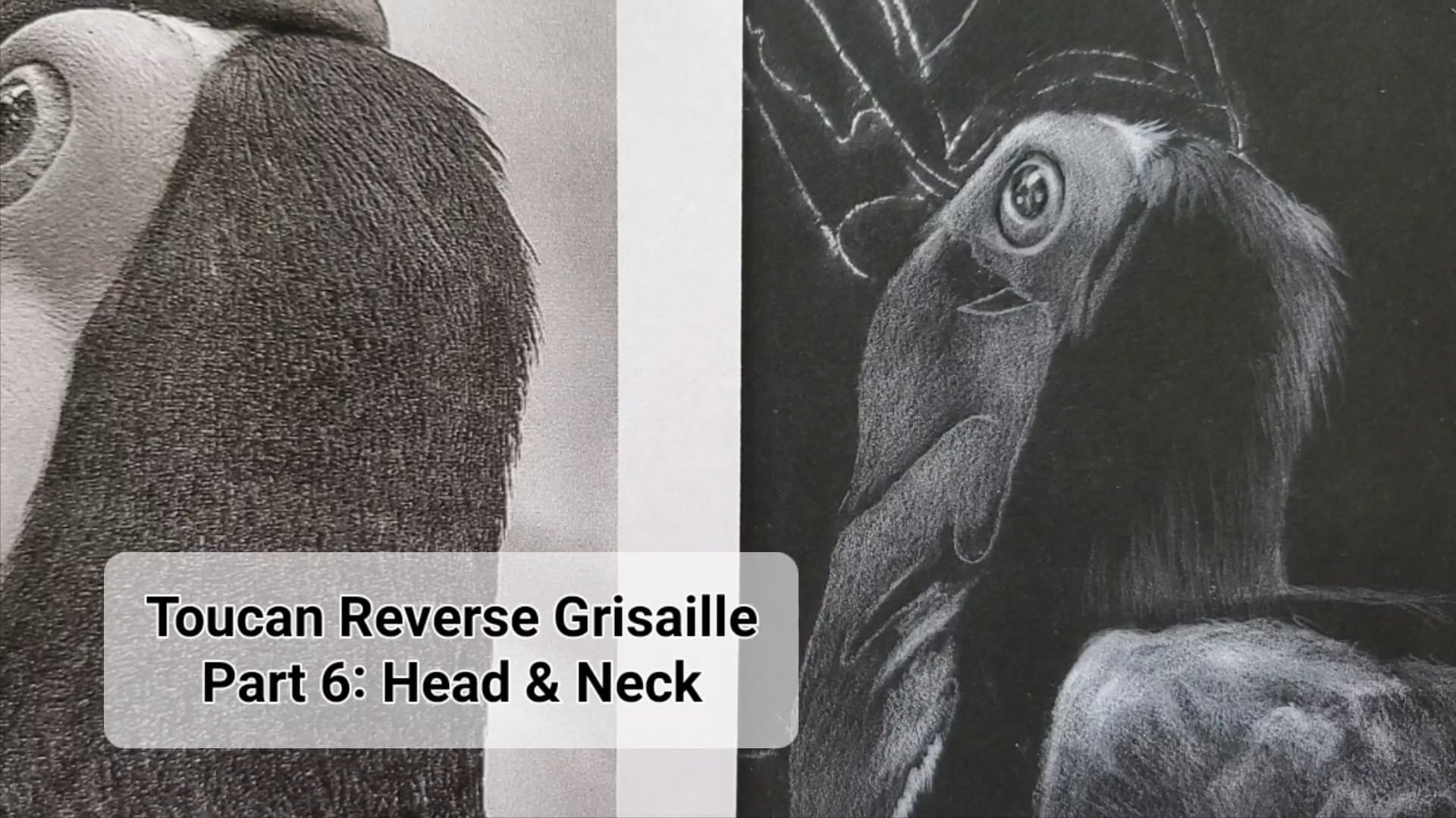 Toucan Reverse Grisaille Part 6: Head & Neck (9:19)