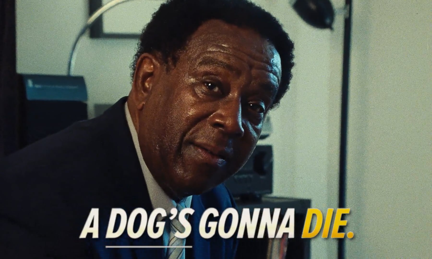 Molekule - "It's Not A Dog" | Videos & Movies on Vimeo