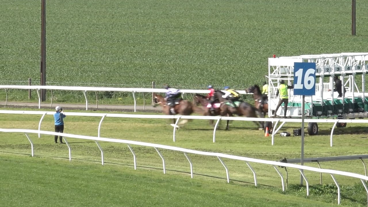 11/09/2025 Strathalbyn • Racing SA