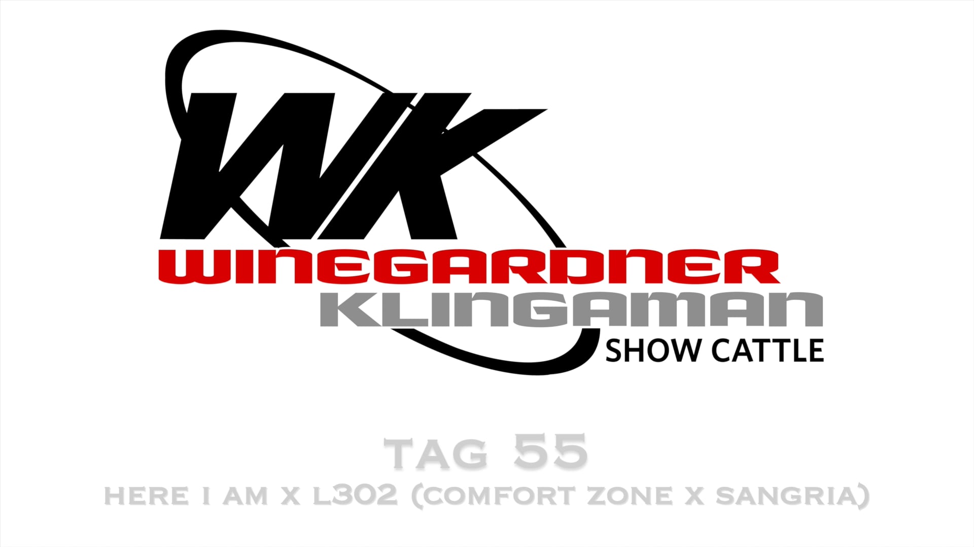 Winegardner Tag 55