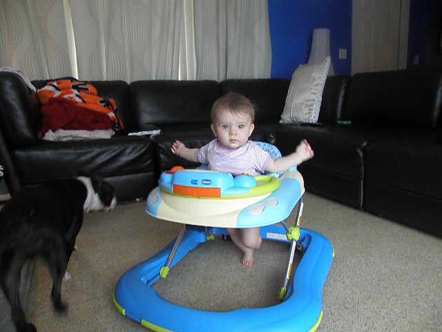 Squealing for Joy on Vimeo