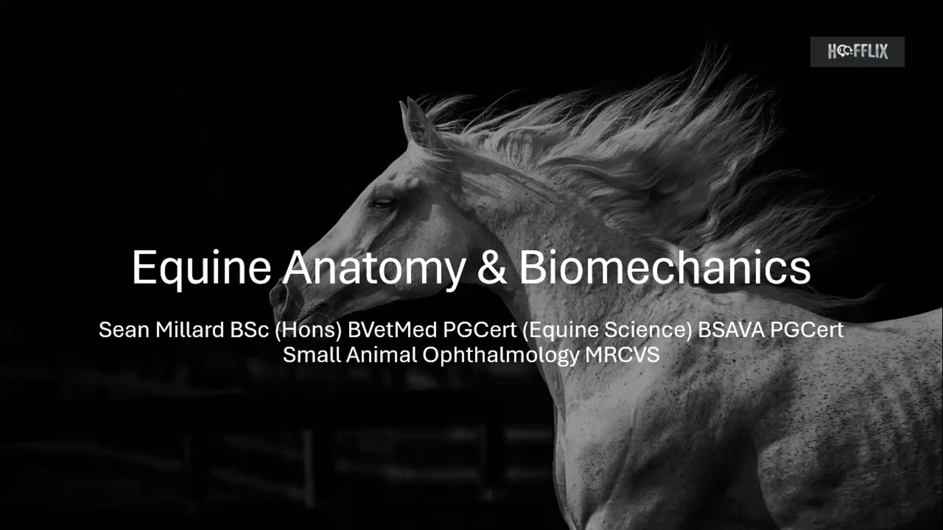 Essential Equine Anatomy and Biomechanics - HoofFlix TV