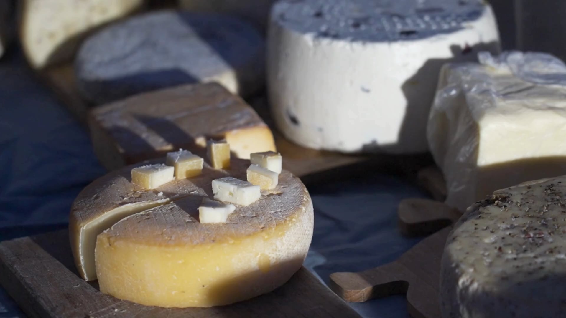 Artisan Cheese Products from White Ridge Cheese Maker