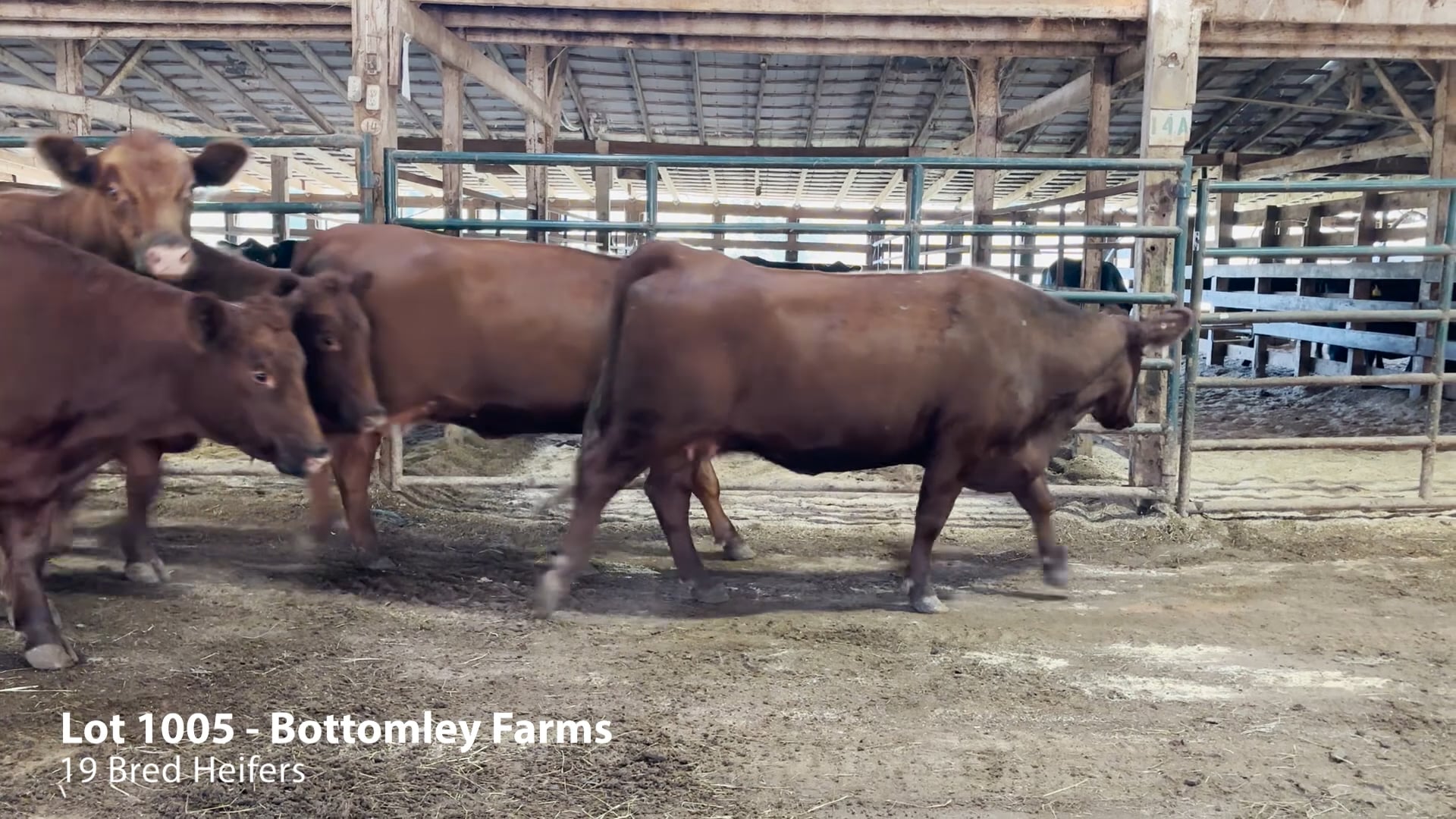 1005-Bottomley Farms | Videos & Movies on Vimeo
