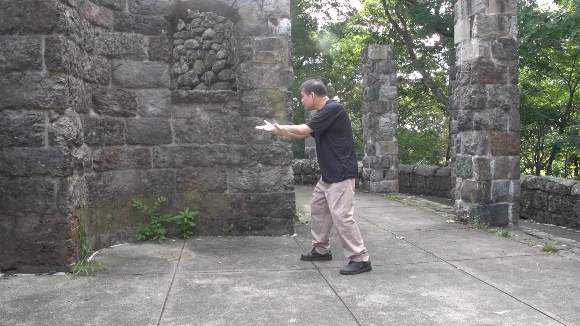 Watch Tai Chi Chuan for Beginners: 21 Techniques Small Circle Form ...