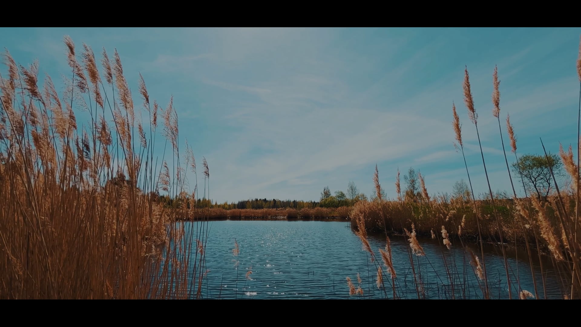 Talk Therapy Services By Cognitive Compass Therapy