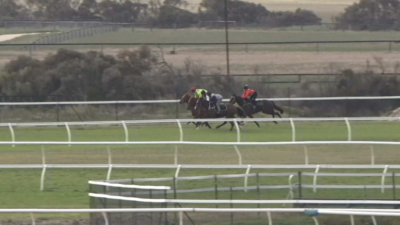 22/09/2025 Murray Bridge • Racing SA