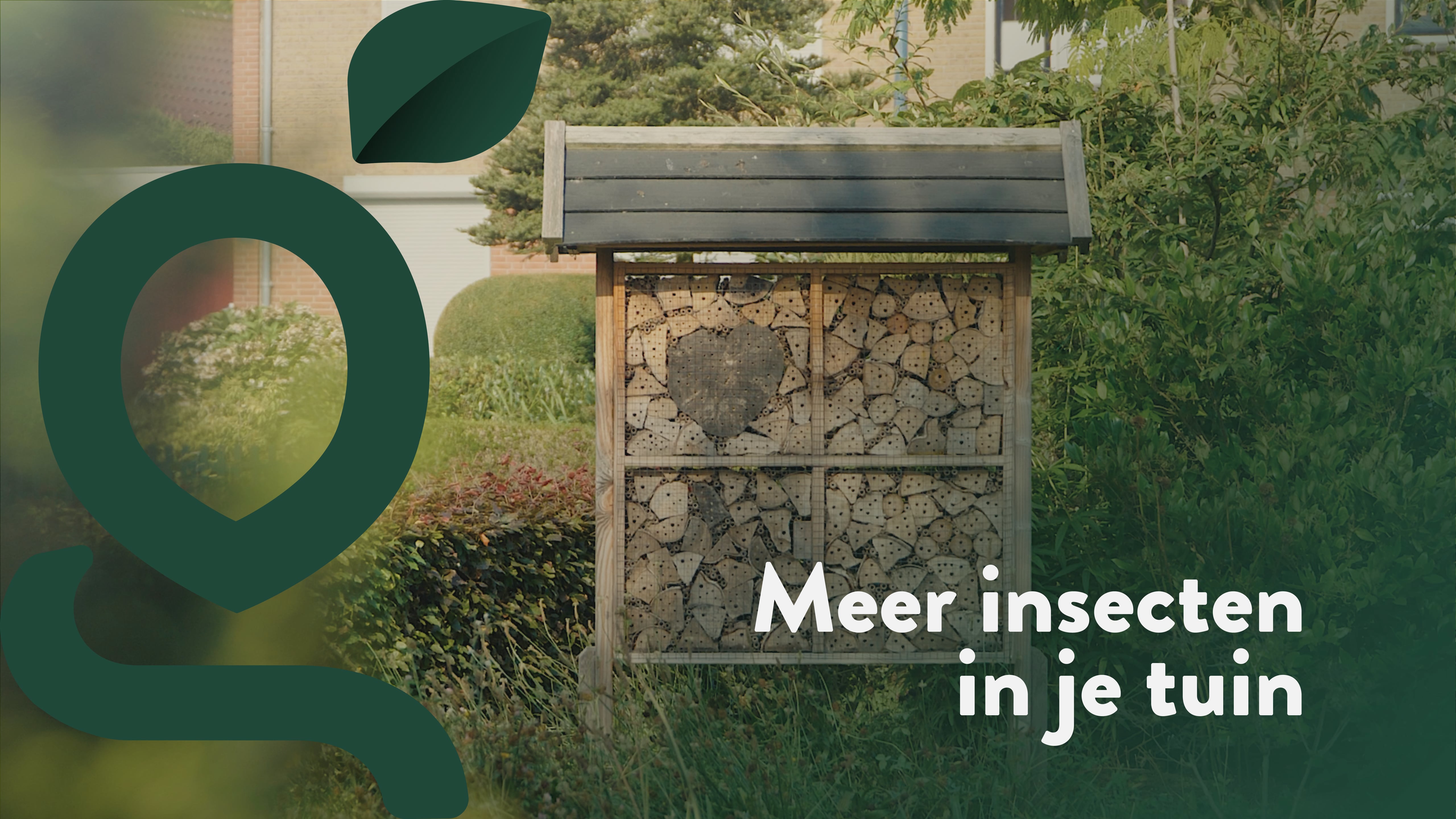 Meer insecten in je tuin