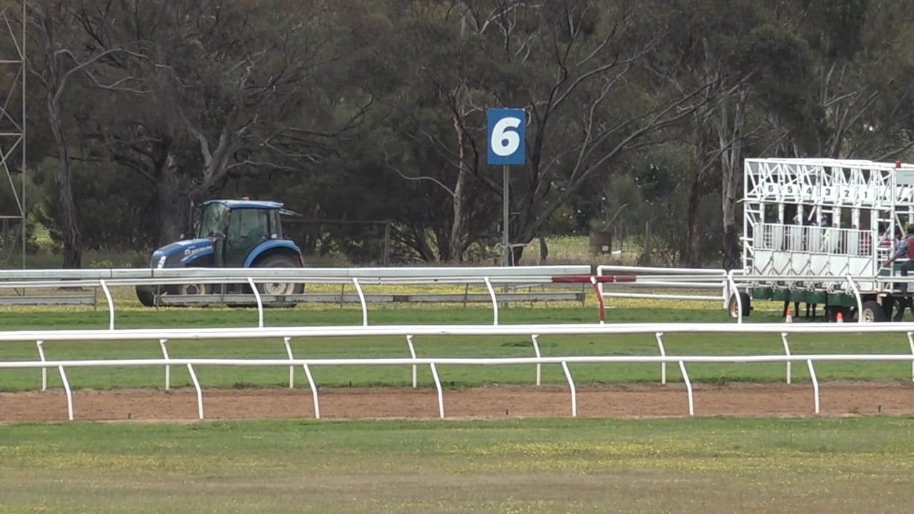 29/09/2025 Strathalbyn • Racing SA