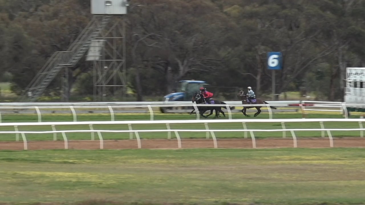 29/09/2025 Strathalbyn • Racing SA