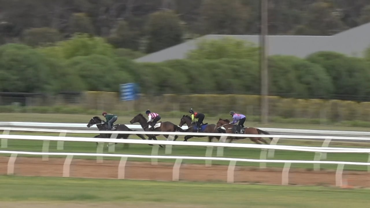 29/09/2025 Strathalbyn • Racing SA