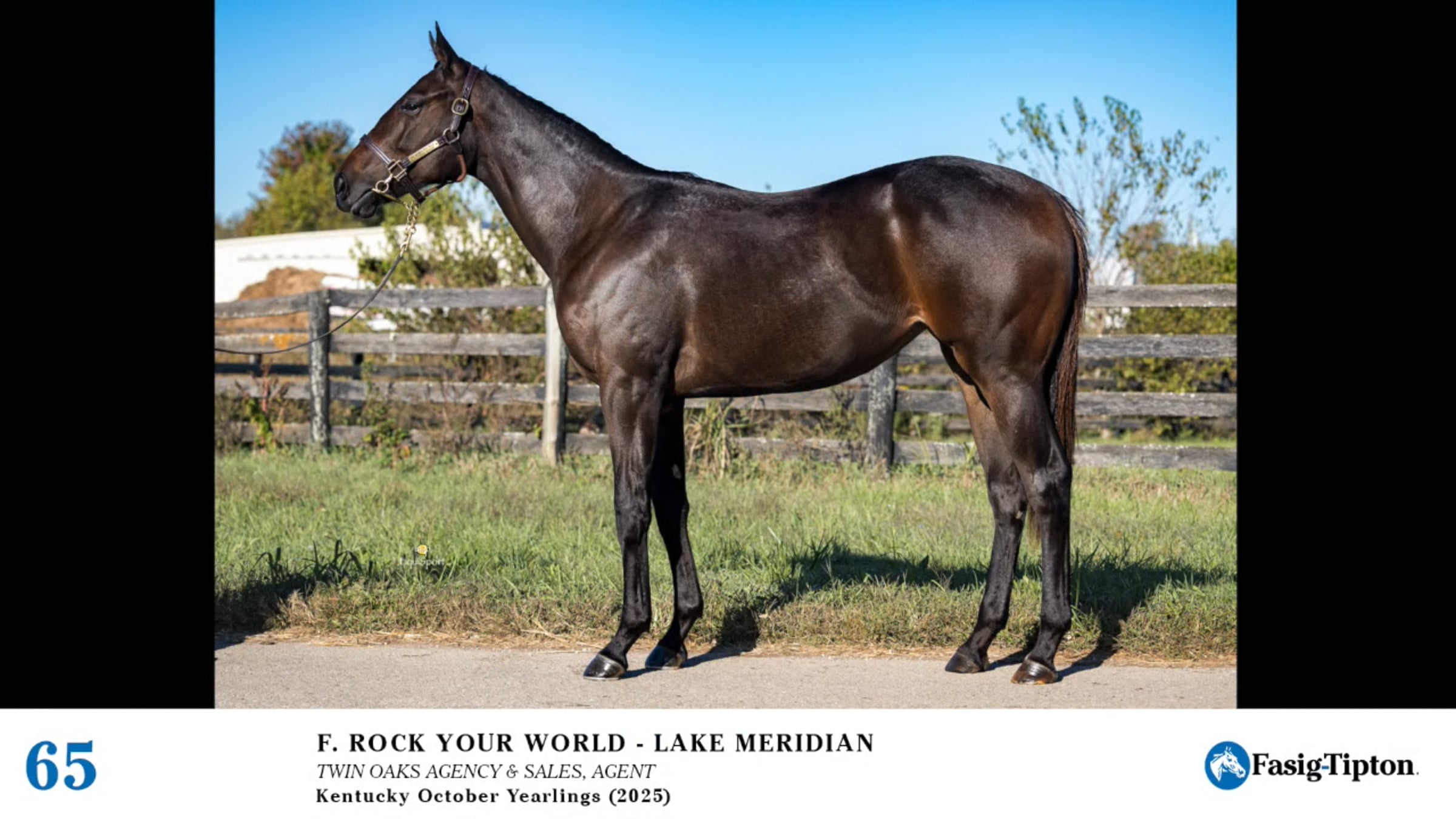Hip 65 FT OCT Rock Your World - Lake Meridian '24