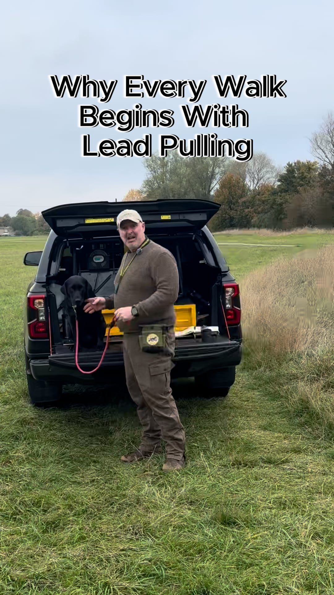 Do your walks normally start with a lot of lead pulling?