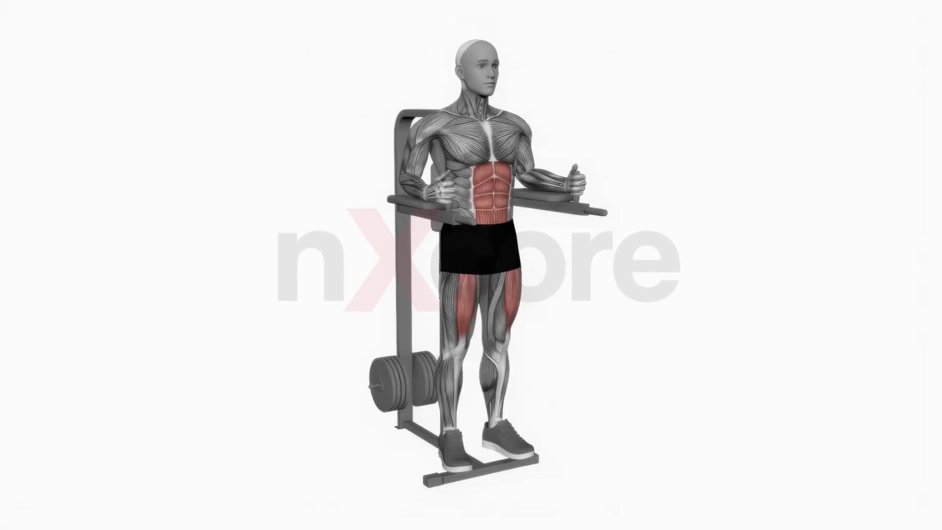 Leg raises (straight legs)