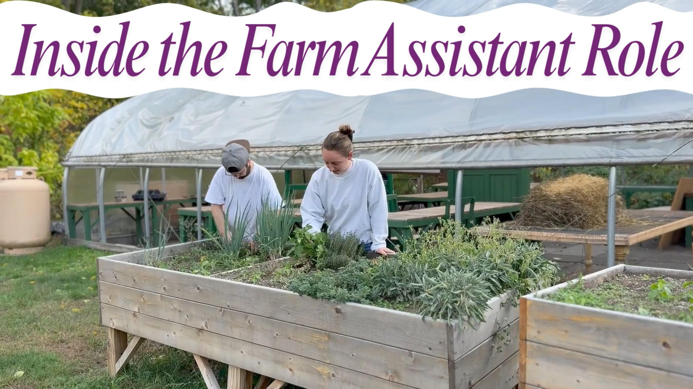 Farm Assistant Role