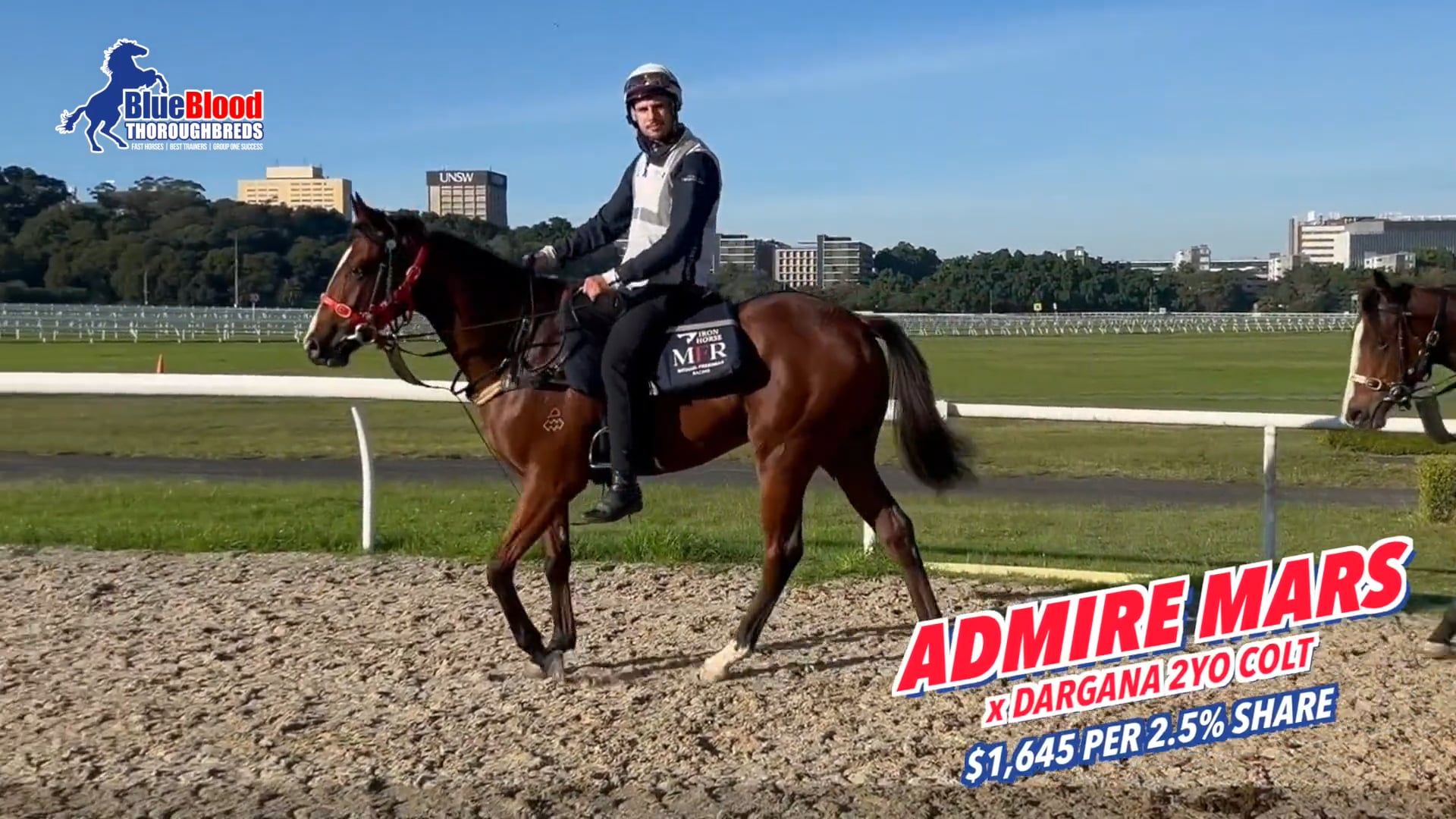 Admire Mars x Dargana Colt Promo 10-25 | Videos & Movies on Vimeo