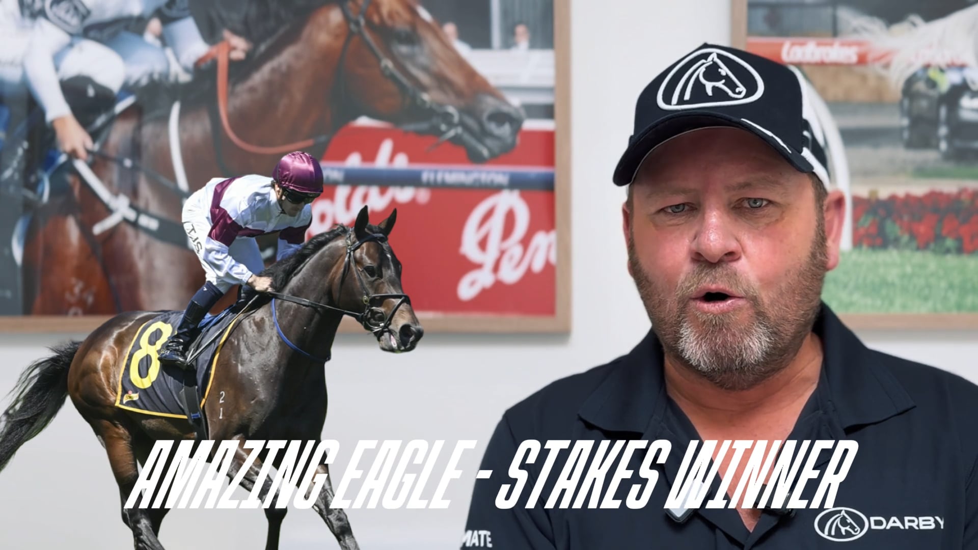 Amazing Eagle - Stakes Winner - Ready to Race