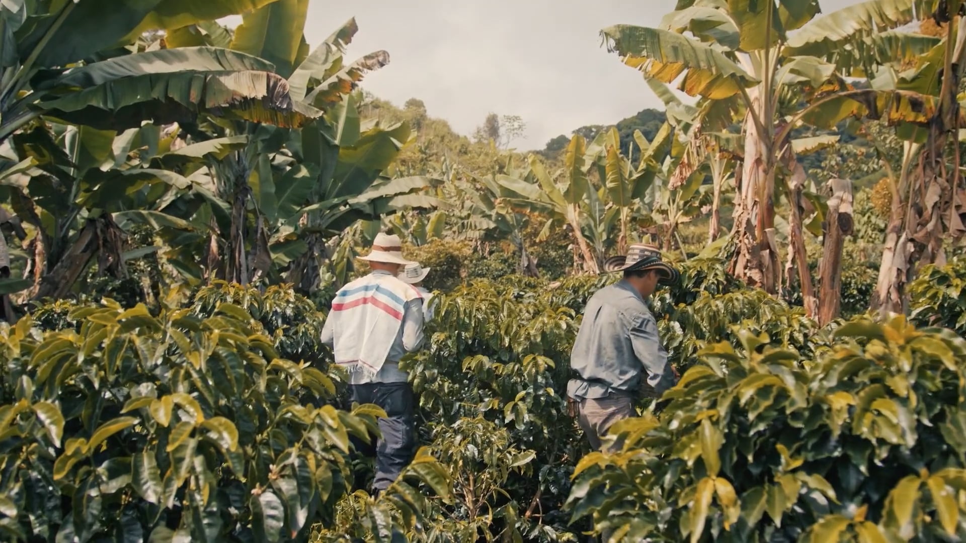 Watch Outgrow the System Online | Vimeo On Demand on Vimeo