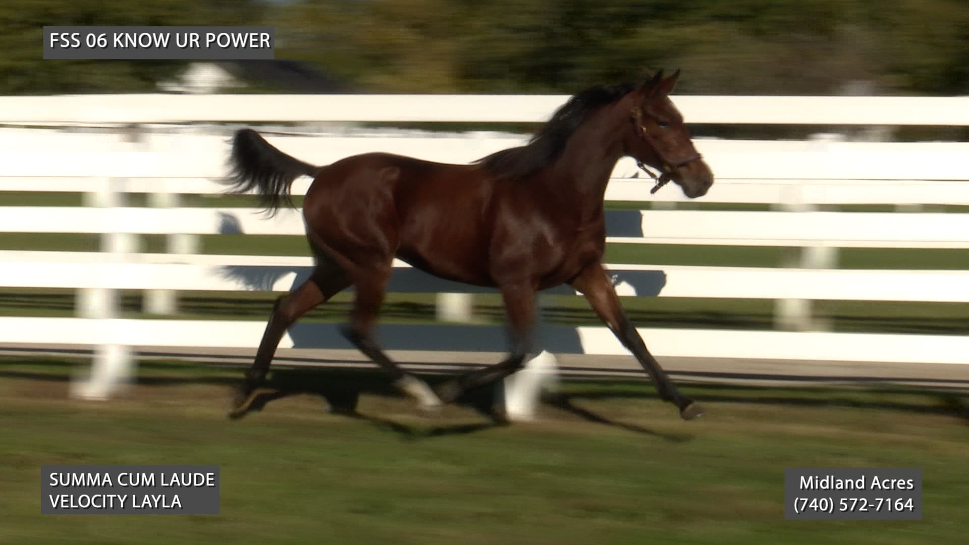 Midland Acres - FSS 06 KNOW UR POWER on Vimeo