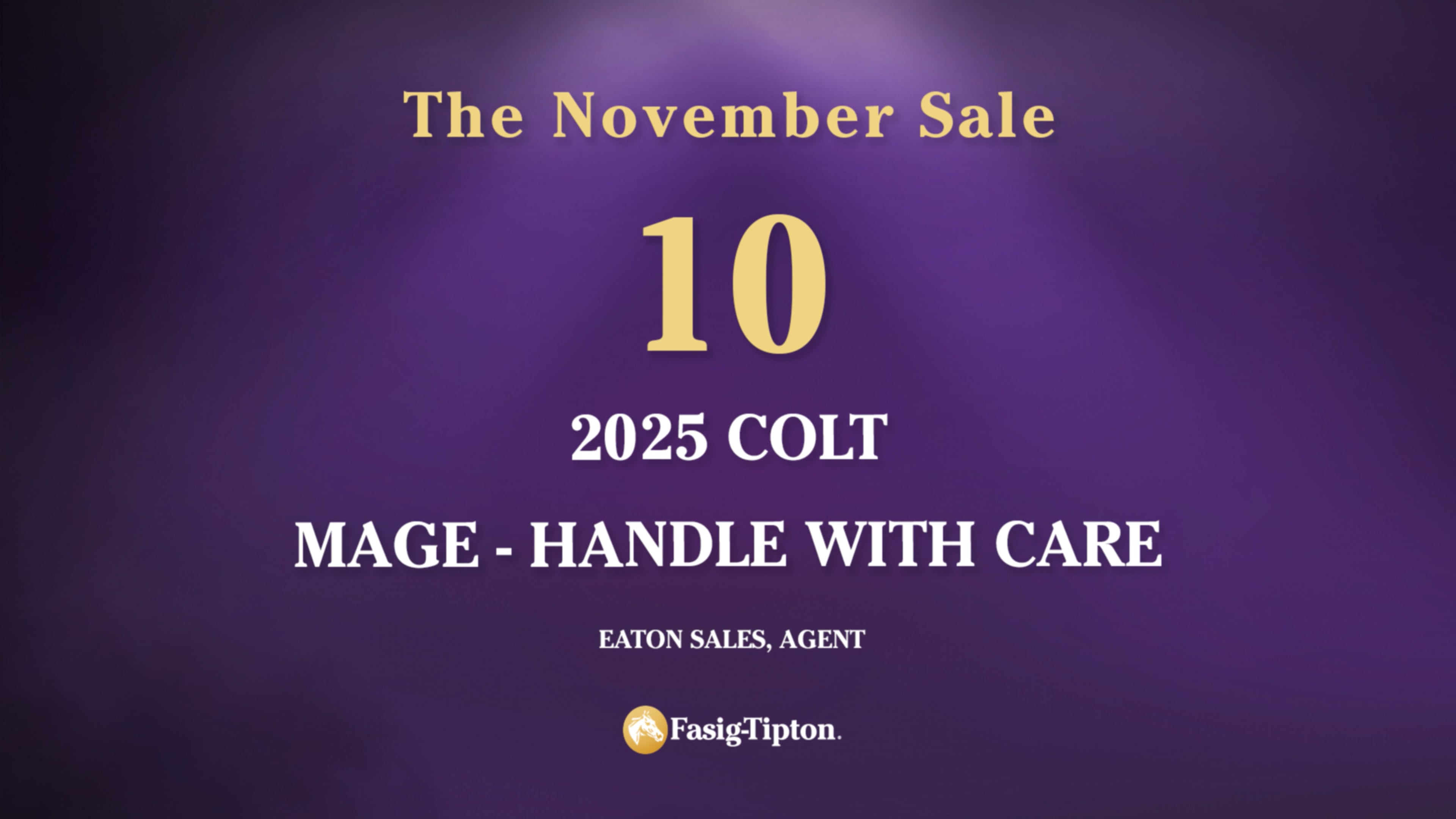 FTKYNOV25-10 '25 c. Mage-Handle with Care | Videos & Movies on Vimeo